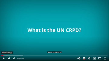 The UN Convention on the Rights of Persons with Disabilities (CRPD ...